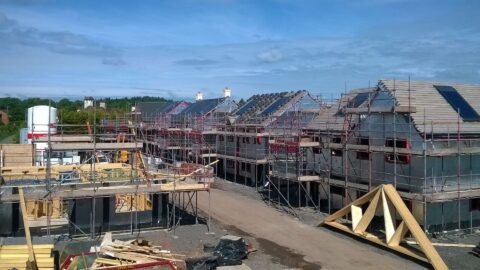 Why timber frame kits are a greener choice for modern homes?